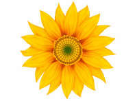 Medito App: Free Meditation Guide for Mindfulness